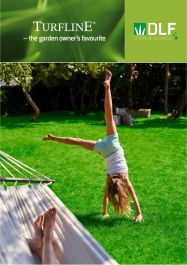 Seminte gazon Trifoi Alb Pitic, 0.5 kg - Magazia lu' Costica